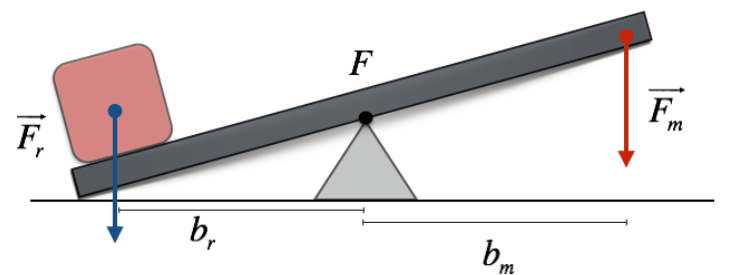 Macchine semplici e leve - Matematicamente