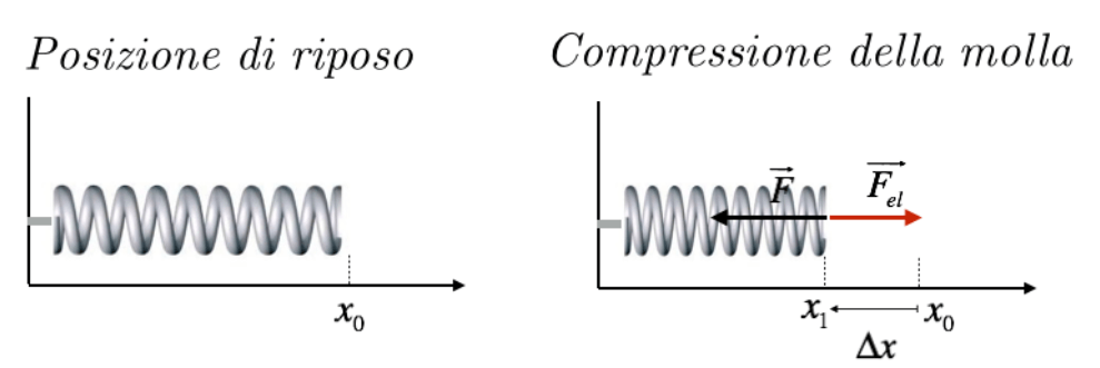 Le molle - Matematicamente
