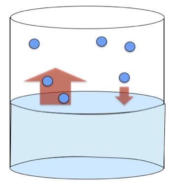 Il vapor saturo - Matematicamente